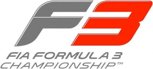 FIA Formula 3 Championship | わかりやすい モータースポーツ競技規則