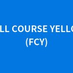 Full Course Yellow (FCY) | Motorsports-Regulations.com